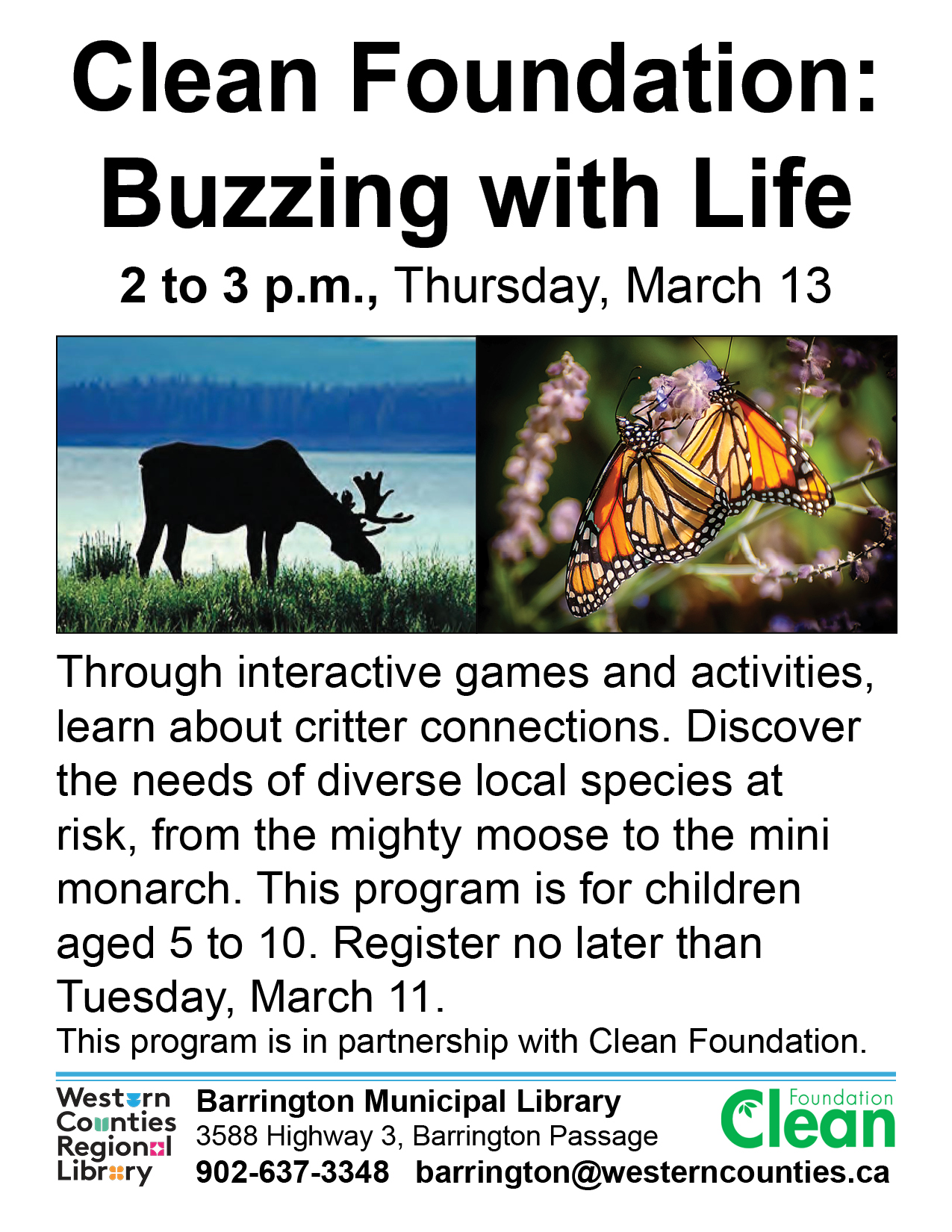 Clean Foundation: Buzzing with Life – Think South Shore